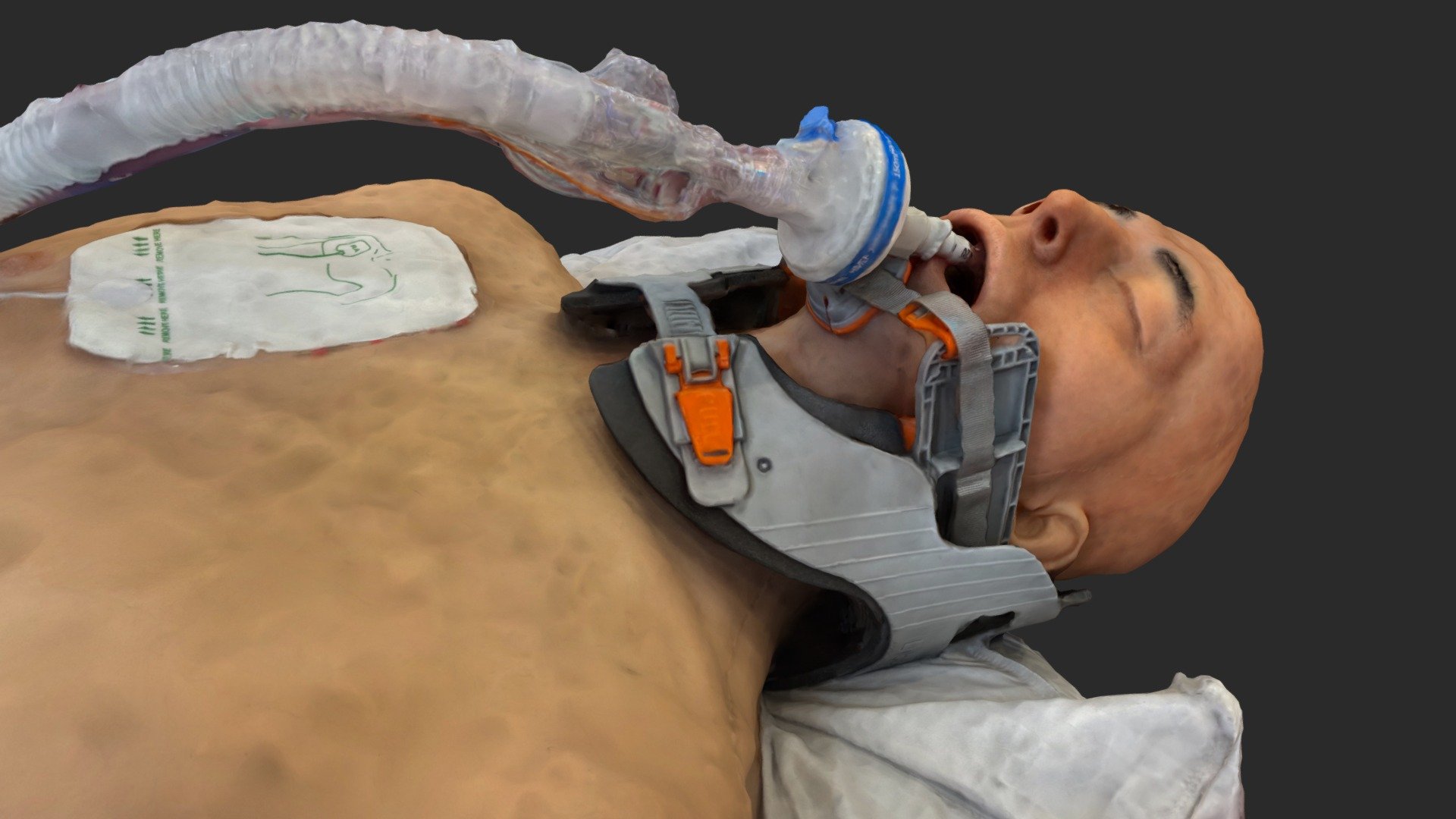 PolyCam - iphone photogrammetry mannequin head - Buy Royalty Free 3D ...