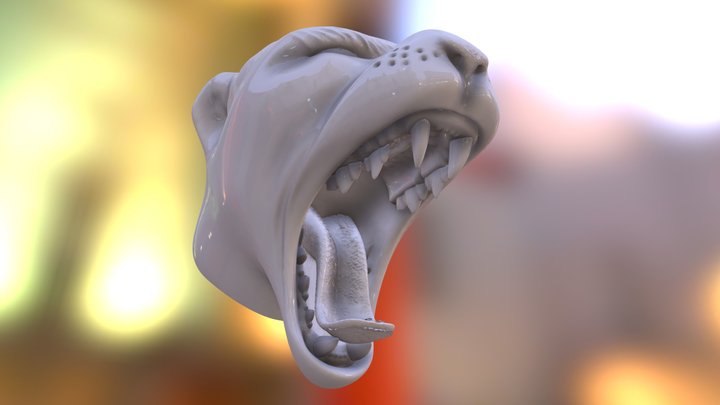 Yawning 3D models - Sketchfab