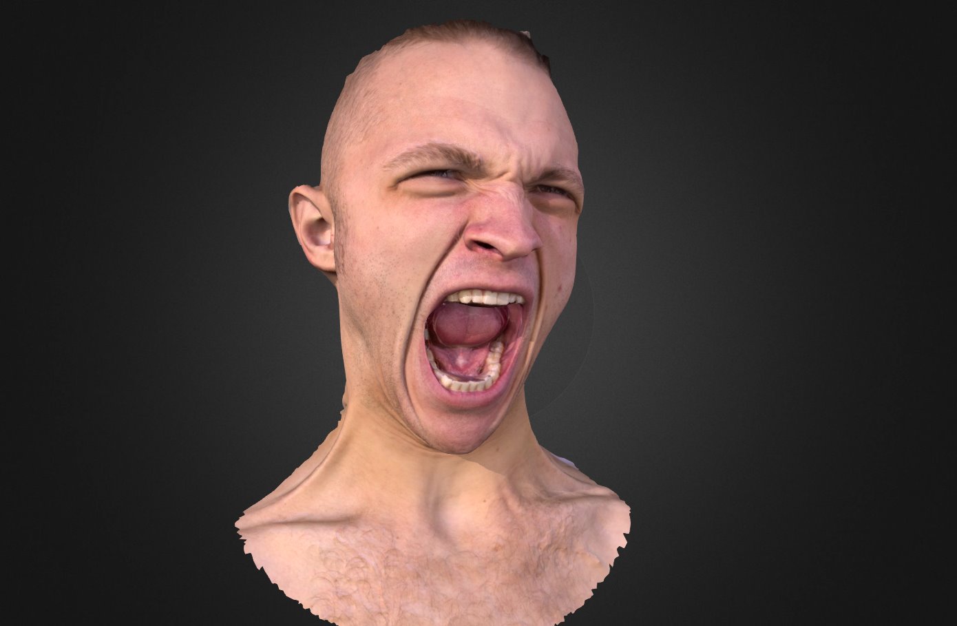 Noah Rage - 3D model by Anatomy Next (@a4s) [1c59403] - Sketchfab