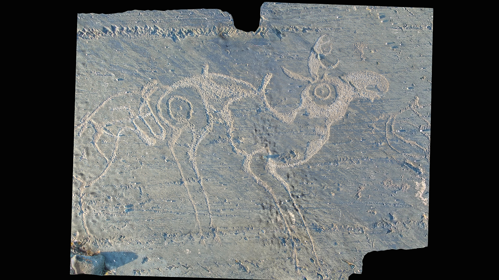 Elk petroglyph Biluut Tolgoi, Mongolia - 3D model by Kenneth Lymer ...