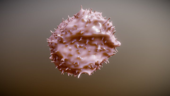 Medicine-healthcare-cancer-immunology 3D models - Sketchfab