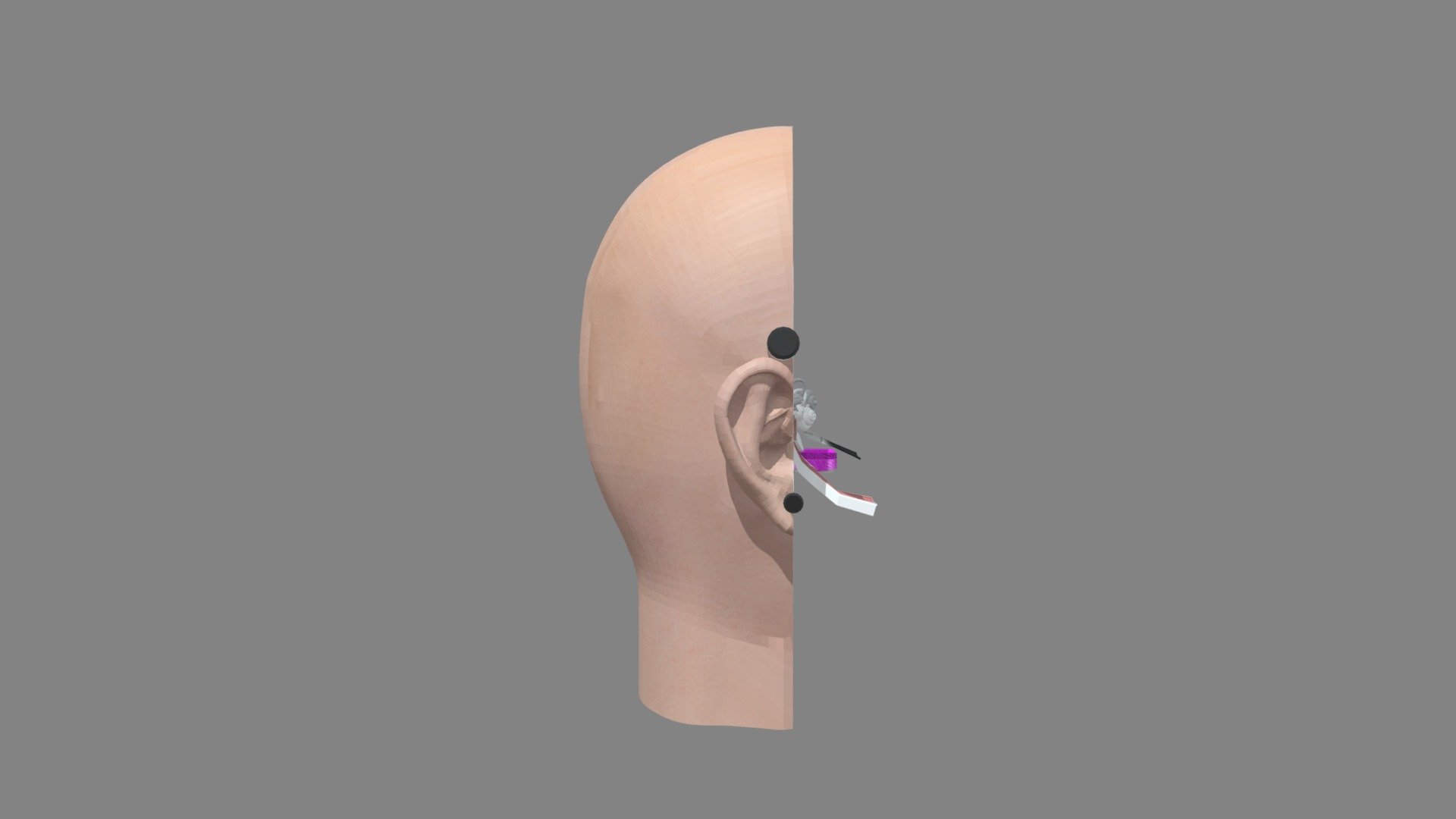 ear test - 3D model by albiknown [1c62edc] - Sketchfab