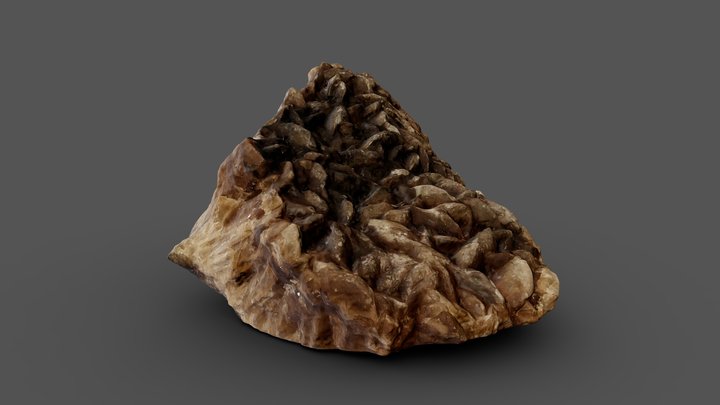 Fractures 3D models - Sketchfab