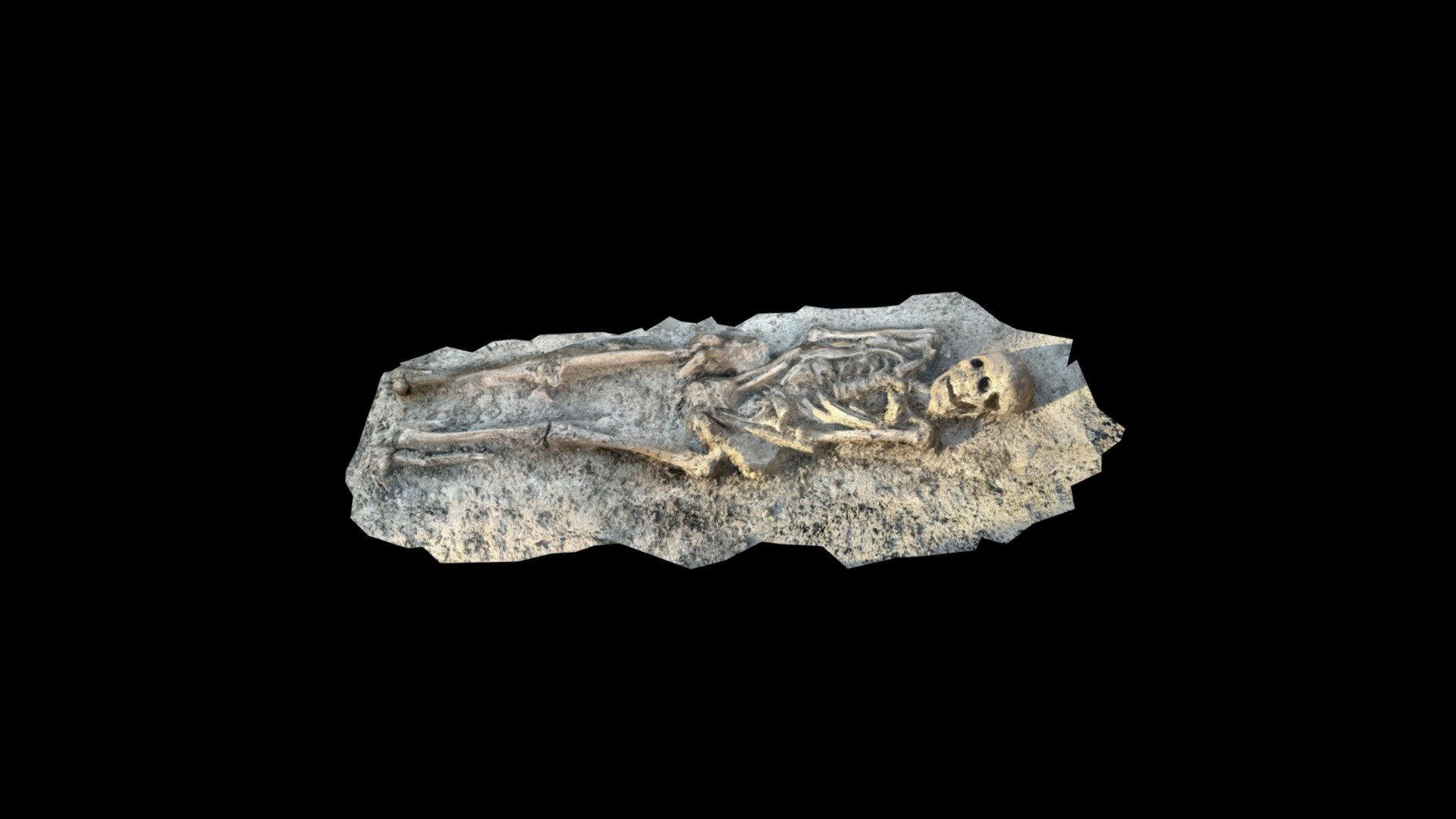 Skeleti i varrit 2 (Grave 2 Skeleton) - 3D model by Tyler Duane Johnson ...