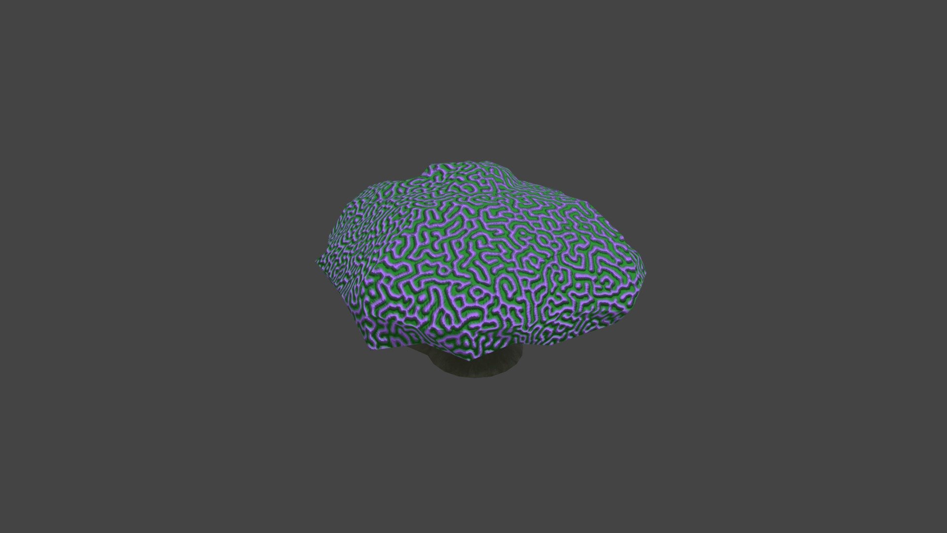 Brain Coral 3.2 - Download Free 3D model by jazz-the-giraffe [1c85995 ...