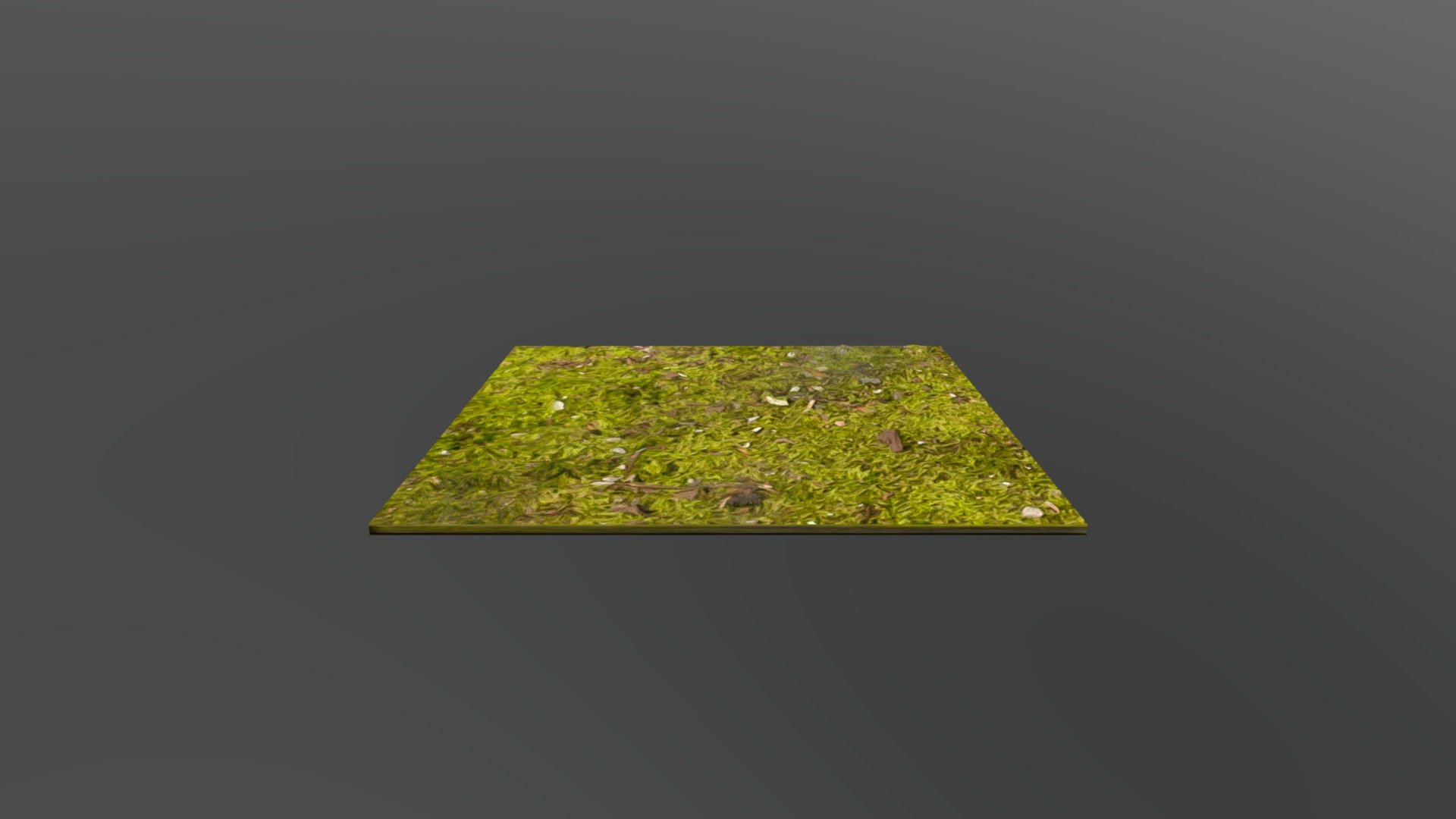 Moss ground || monster garden - 3D model by mintho [1c86bb2] - Sketchfab