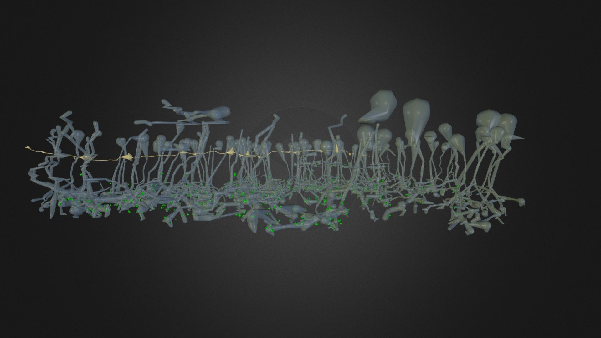 Rod Bipolar Axonal Ribbons Can't Drive M1 ipRGCs - 3D model by SheetsKG ...
