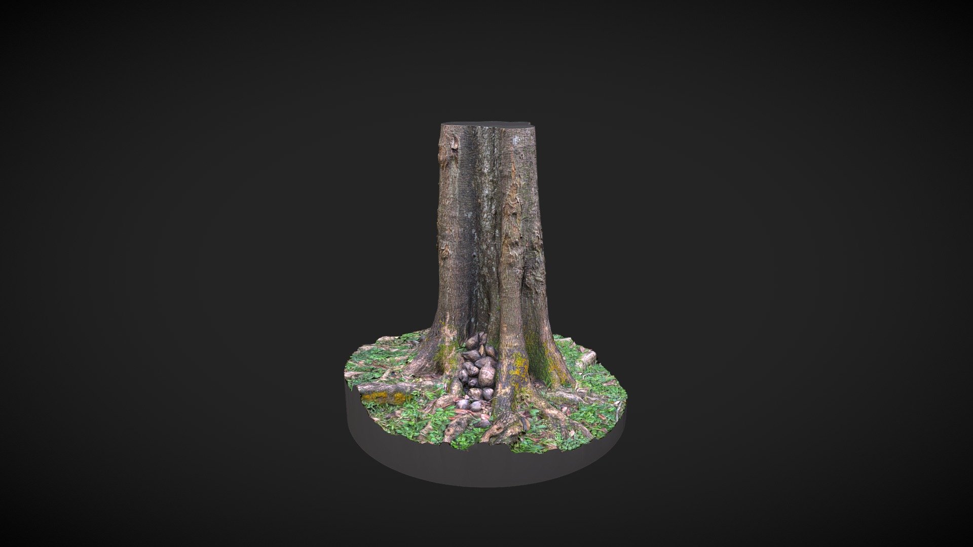 Tree_trunk - 3D model by Goutham13 [1c98bc8] - Sketchfab