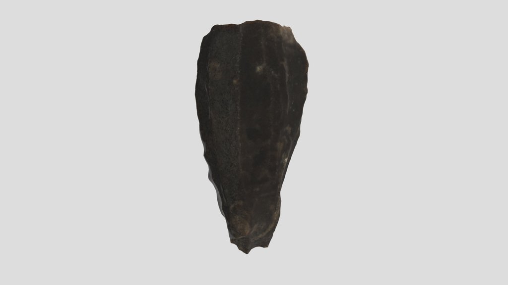 3D models of Paleolithic and Neolithic Artifacts - A 3D model ...