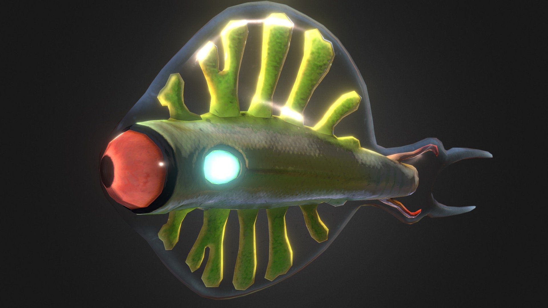 Discus Fish - Download Free 3D model by gavinpgamer1 [1ca3c30] - Sketchfab