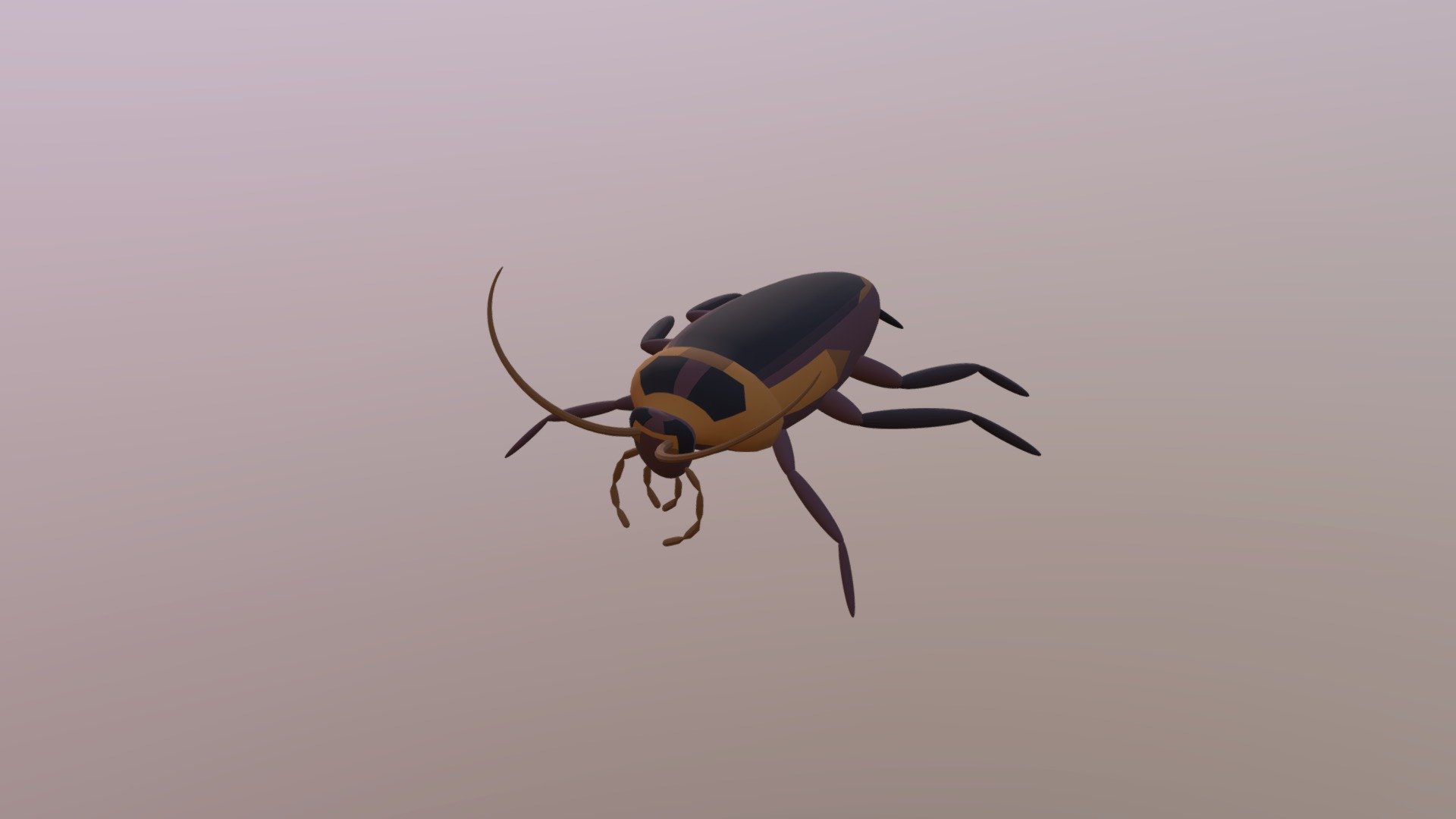Cockroach - 3D model by Paul Magnus (@paulmag) [1caa636] - Sketchfab