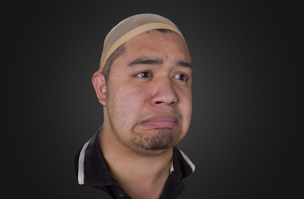 Ciprian - A 3D model collection by Anatomy Next (@a4s) - Sketchfab