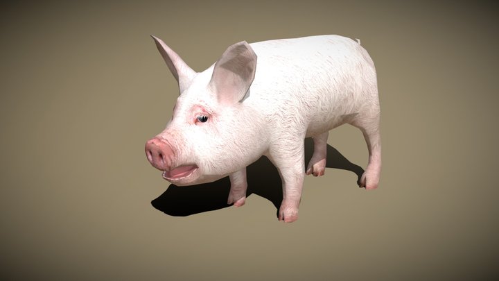 Pig-farm 3D models - Sketchfab