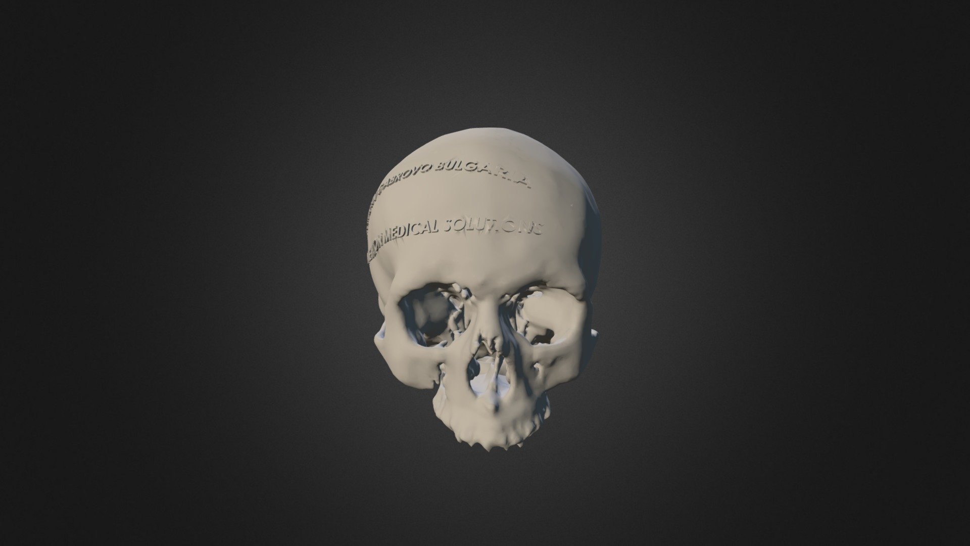 Scull - 3D model by orthopaedics.bg [1cbc9c8] - Sketchfab
