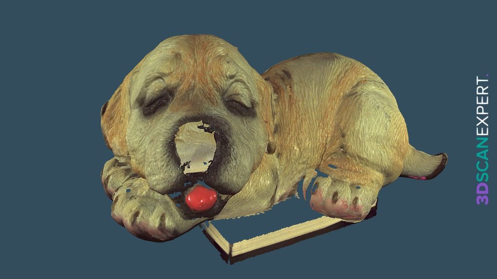 Dog Figure - EinScan-SE - 3D model by 3D Scan Expert (@3dscanexpert ...