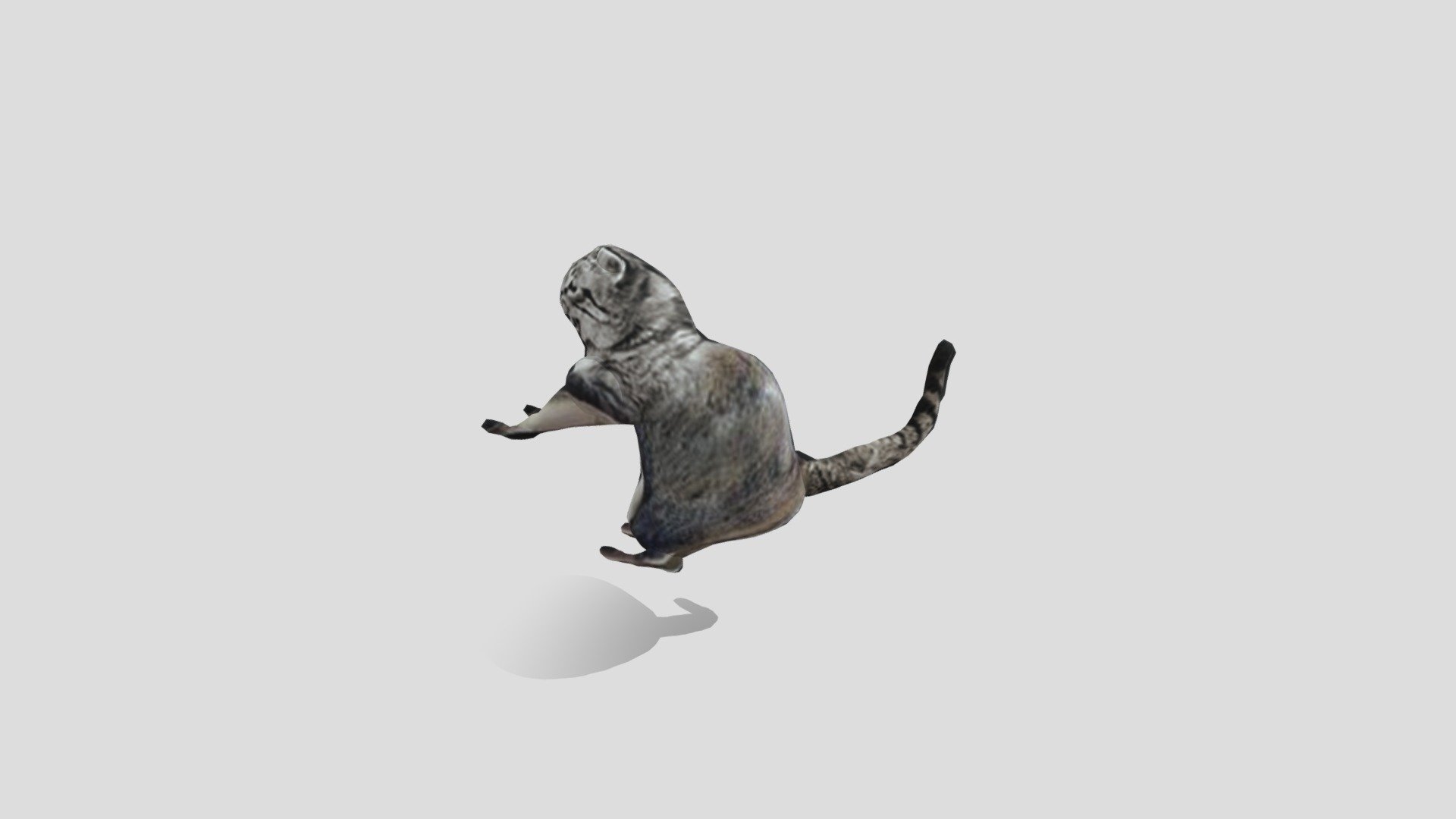 CAT - 3D model by drumnnnn [1cc2d18] - Sketchfab