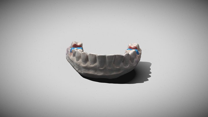 Jaws 3D models - Sketchfab