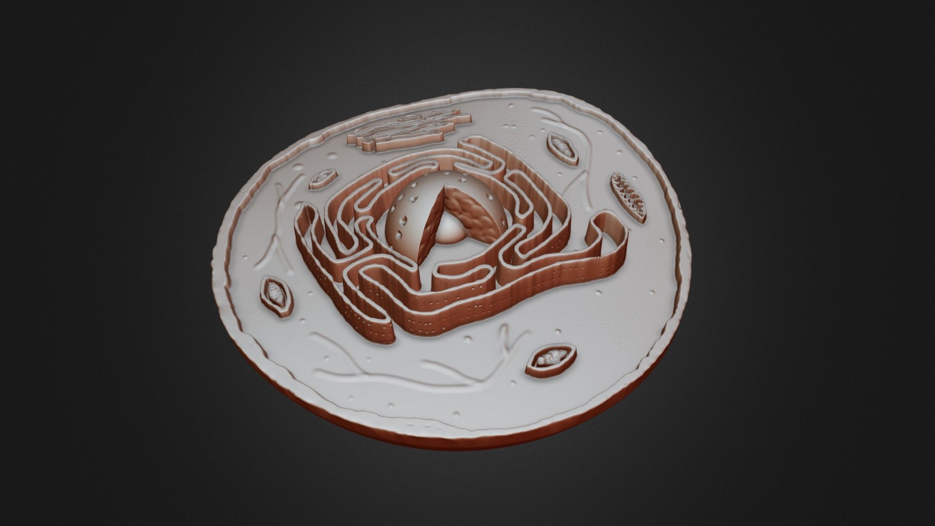 animal eukaryotic cell project - 3D model by Robert Szymaniuk (@NeoTec ...