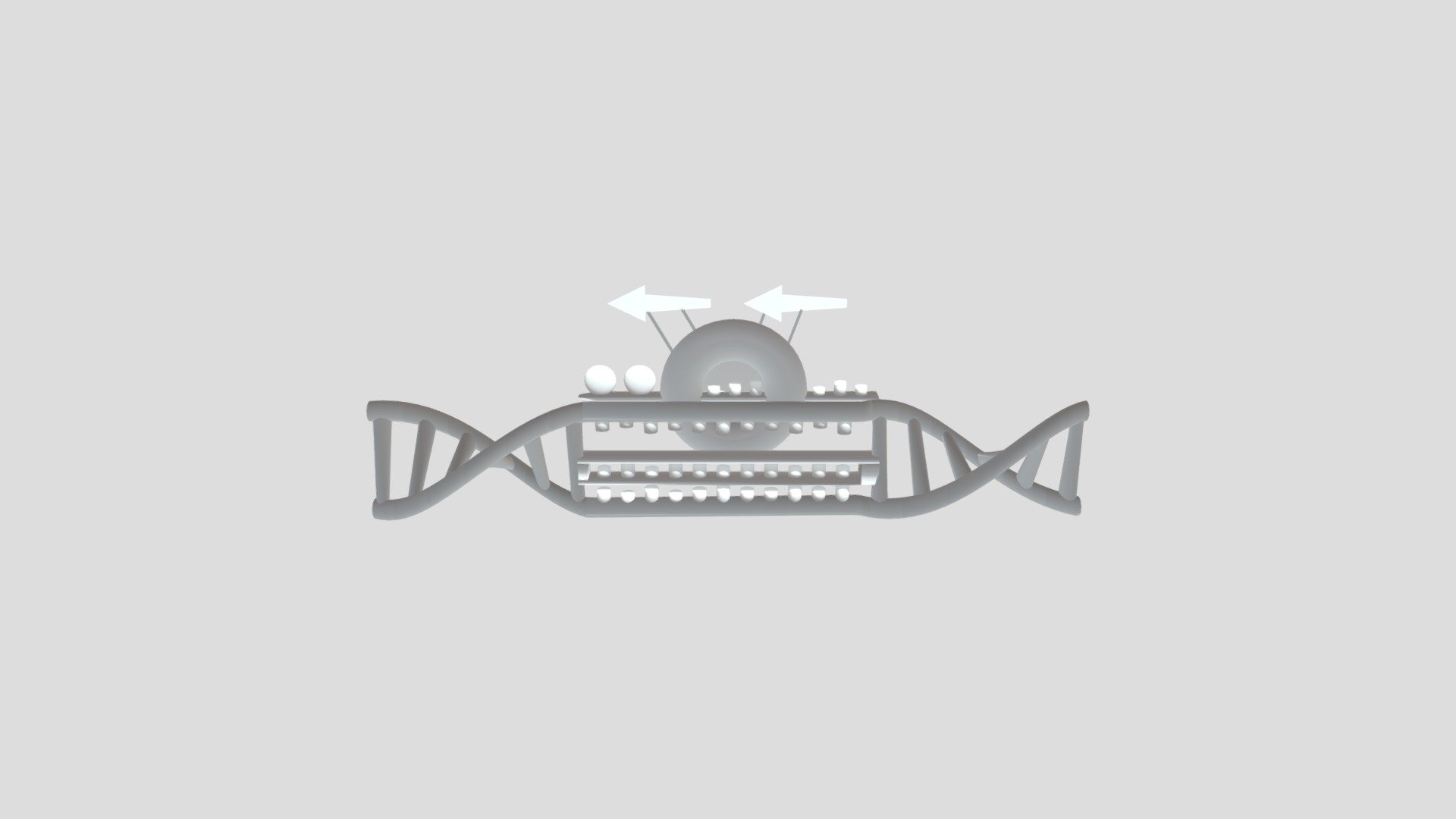 Protein Synthesis - 3D model by gabriel.francis1 [1ce7f98] - Sketchfab