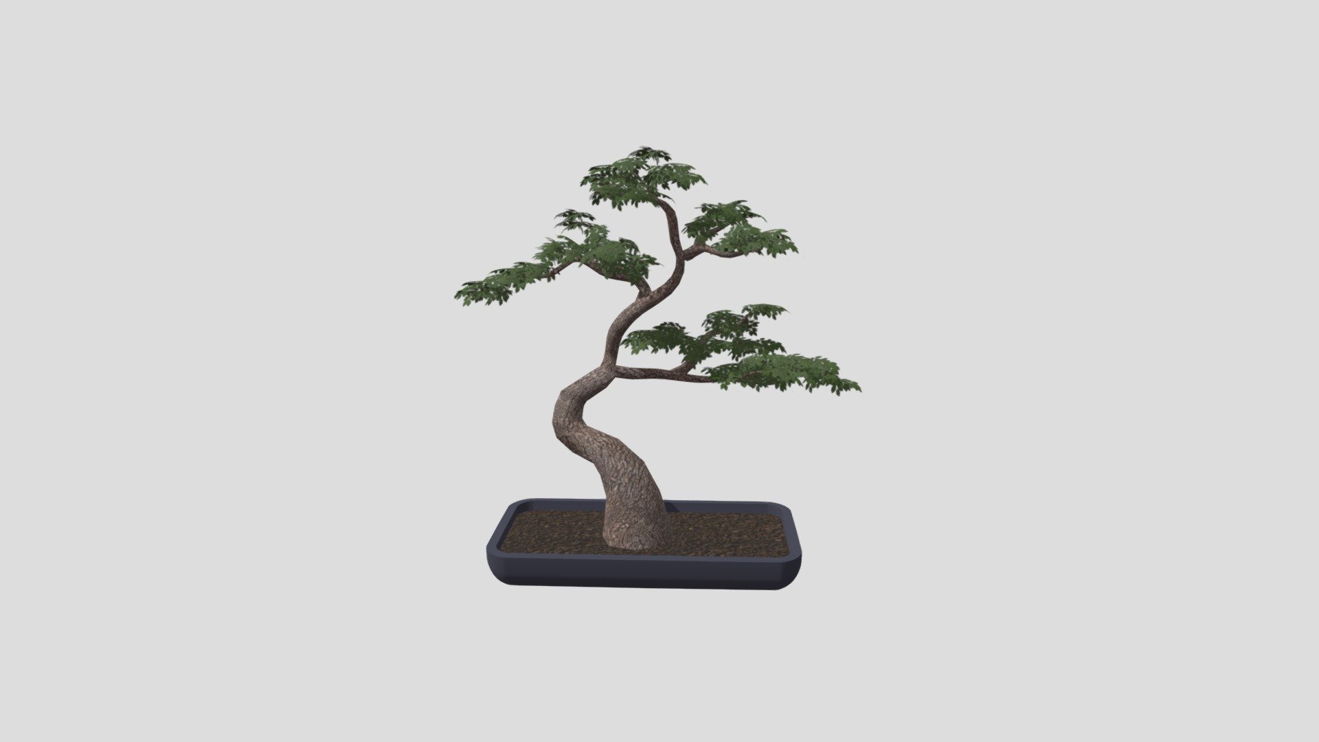 bonsai tree - 3D model by vanshikaaa (@vanshikaa) [1cf0552] - Sketchfab