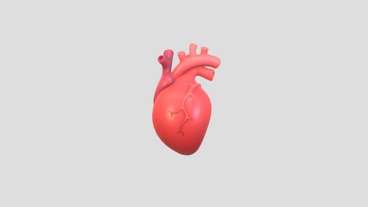 Organ 3D models - Sketchfab