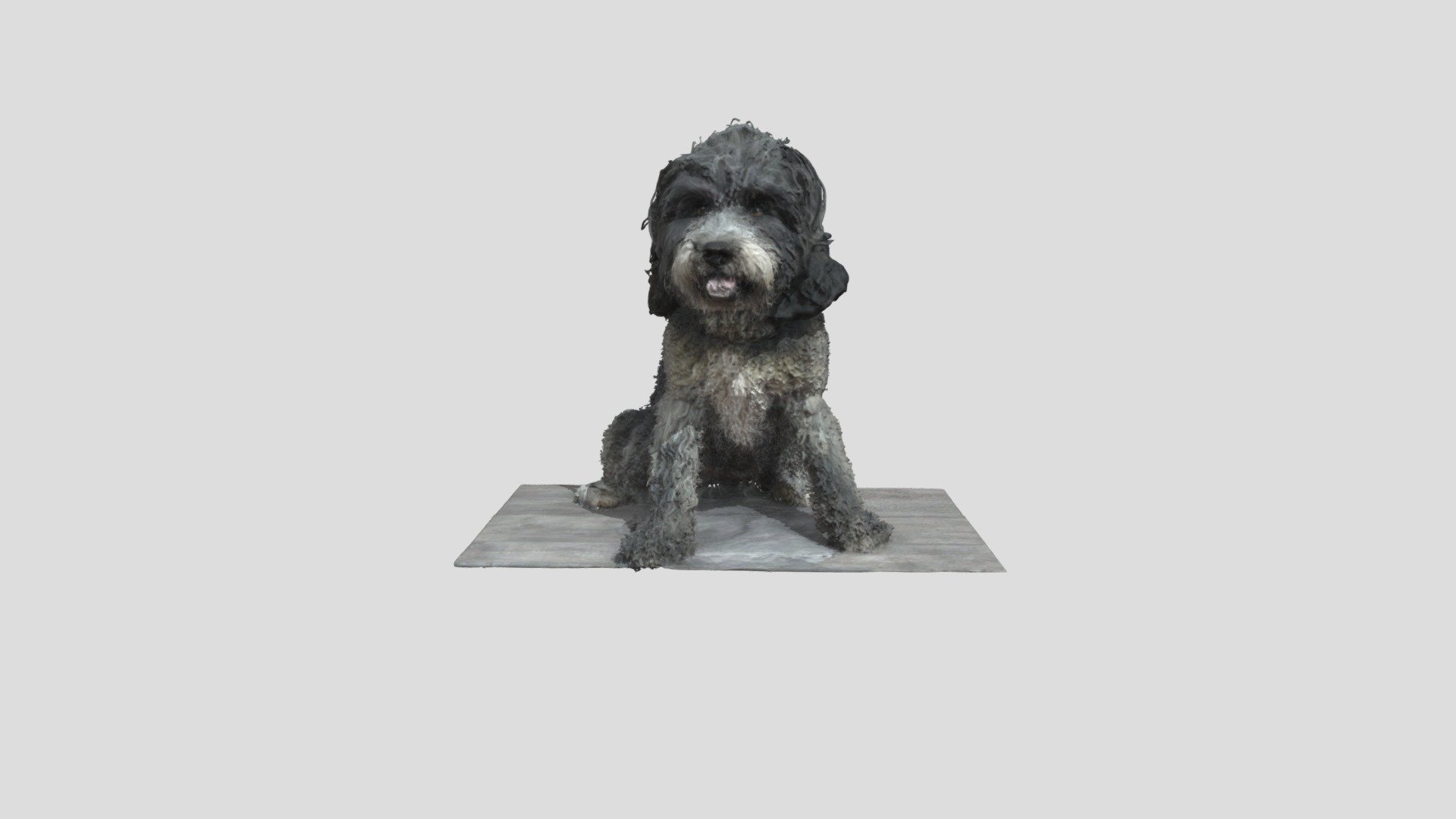 Paws on the Table - 3D model by zampa1 [1d0188c] - Sketchfab