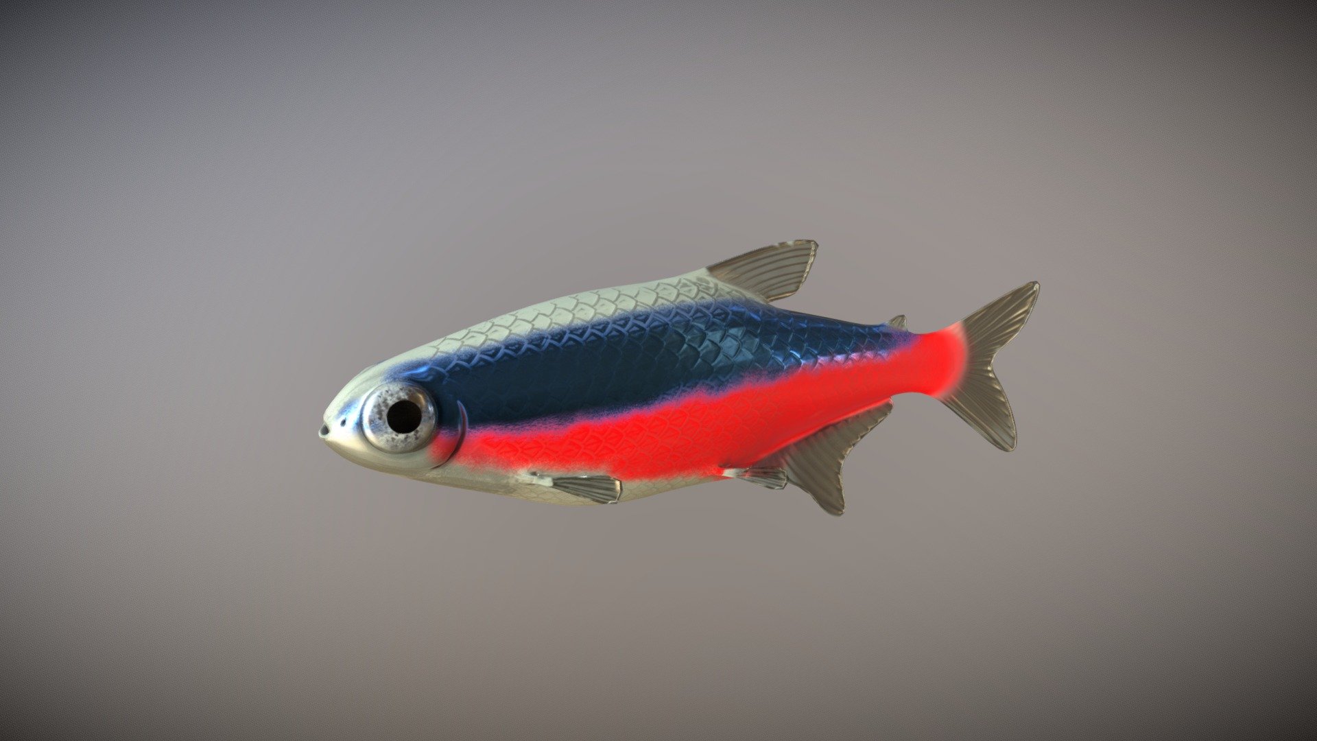 Neon - 3D model by pedromauro [1d0dced] - Sketchfab