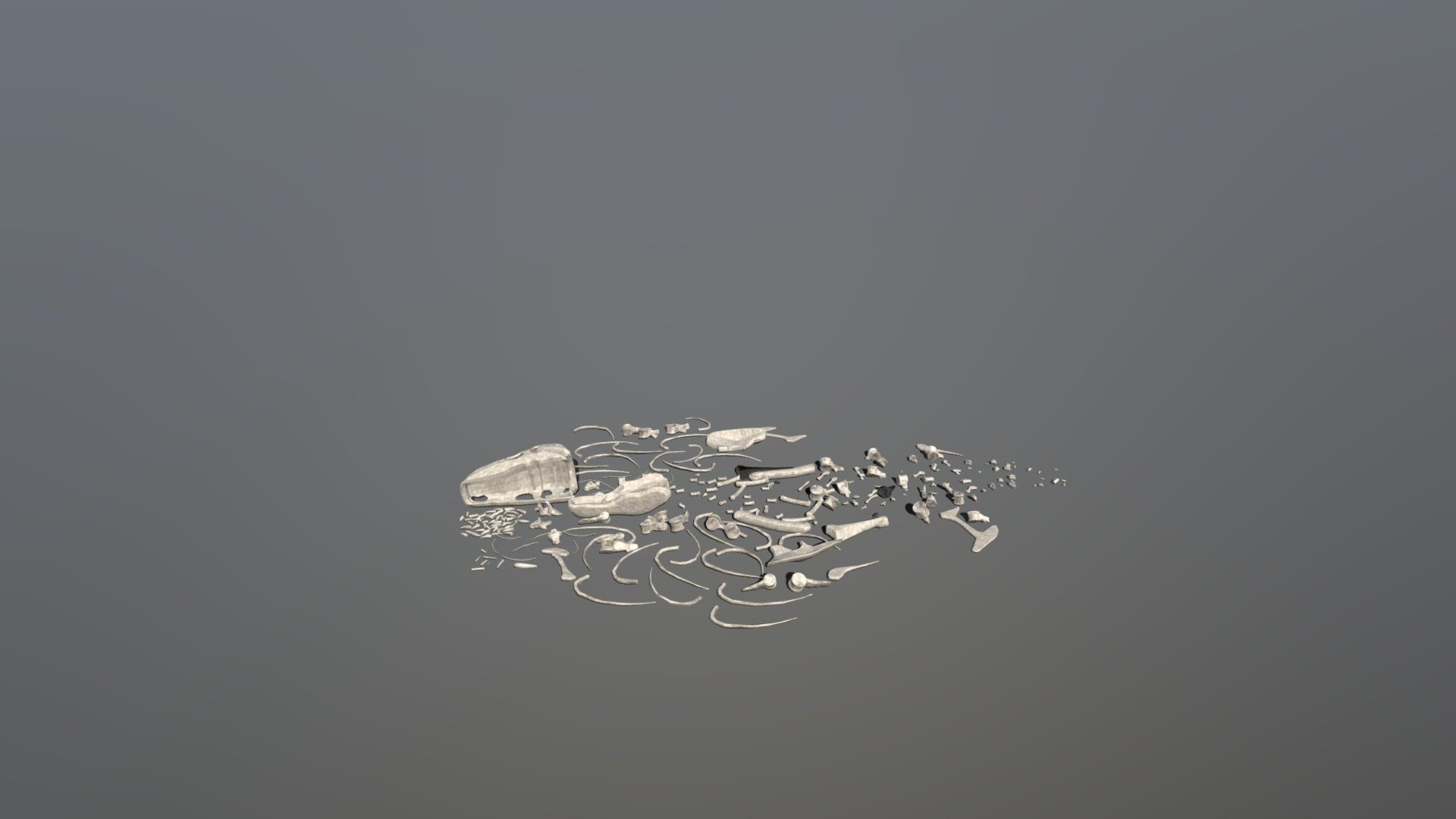 rexy - Download Free 3D model by Nathan (@NathanKelley) [1d109b0 ...