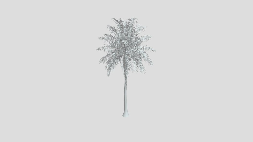 Palm Trees - A 3D model collection by fsixtyfour - Sketchfab