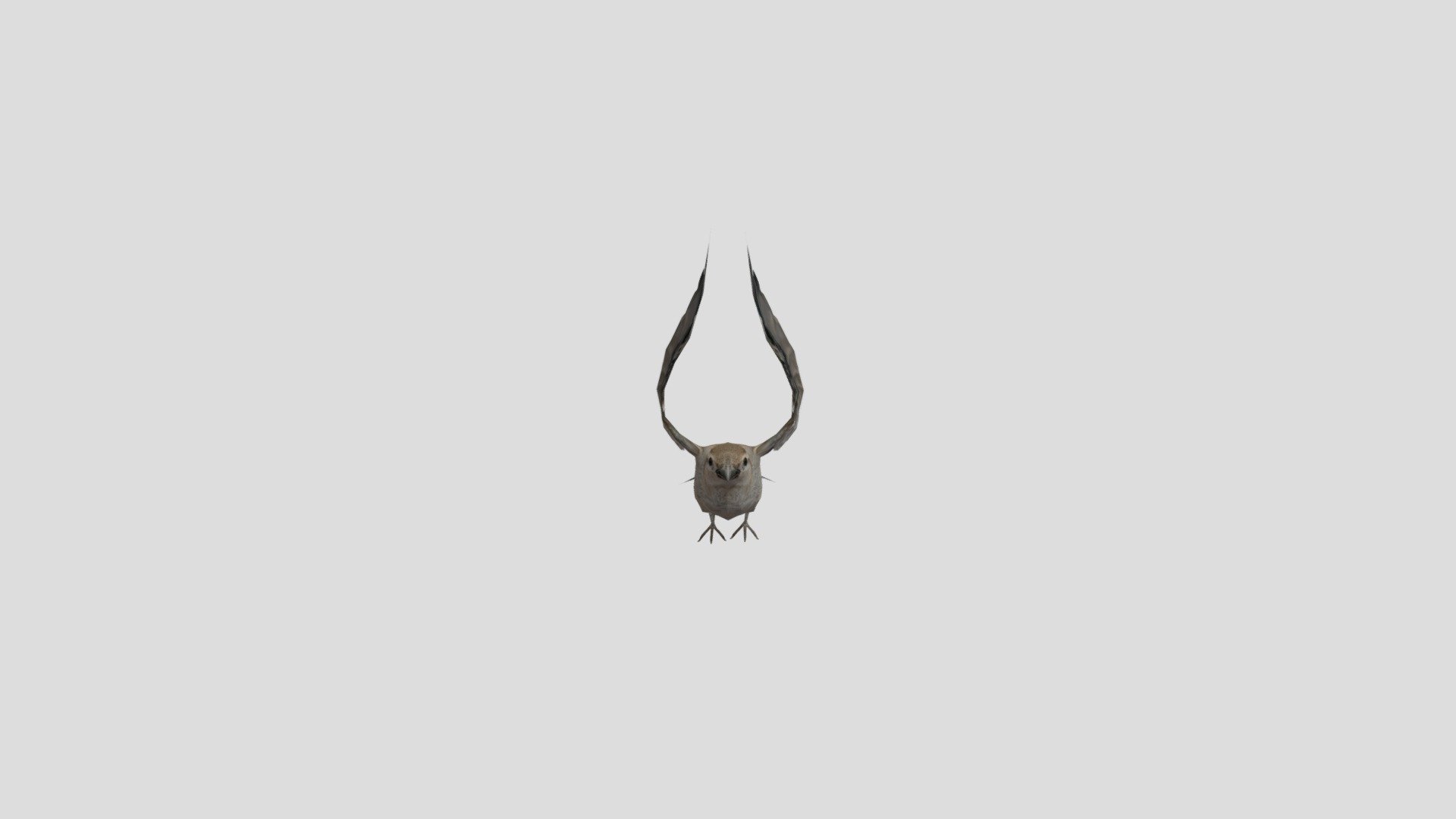 Bird_ Fly - 3D model by kylinan.liming [1d1bcbf] - Sketchfab