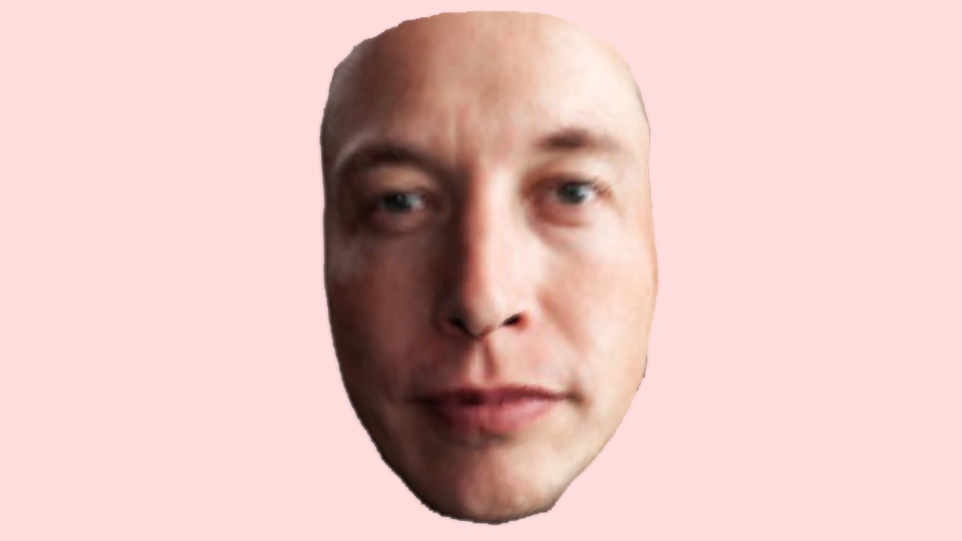 Elon Musk face 3d - your personal Elon head - Download Free 3D model by ...
