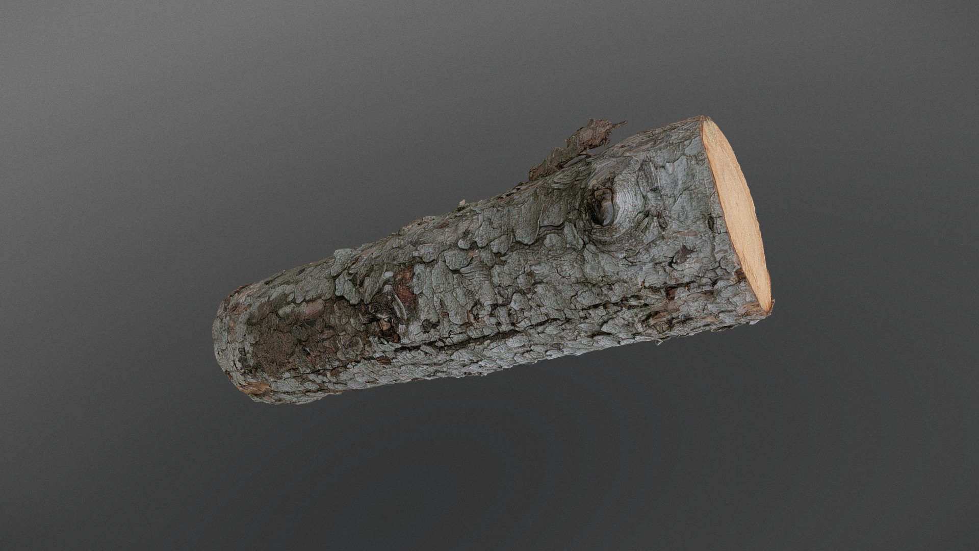 Spruce log - Buy Royalty Free 3D model by matousekfoto [1d1d579 ...