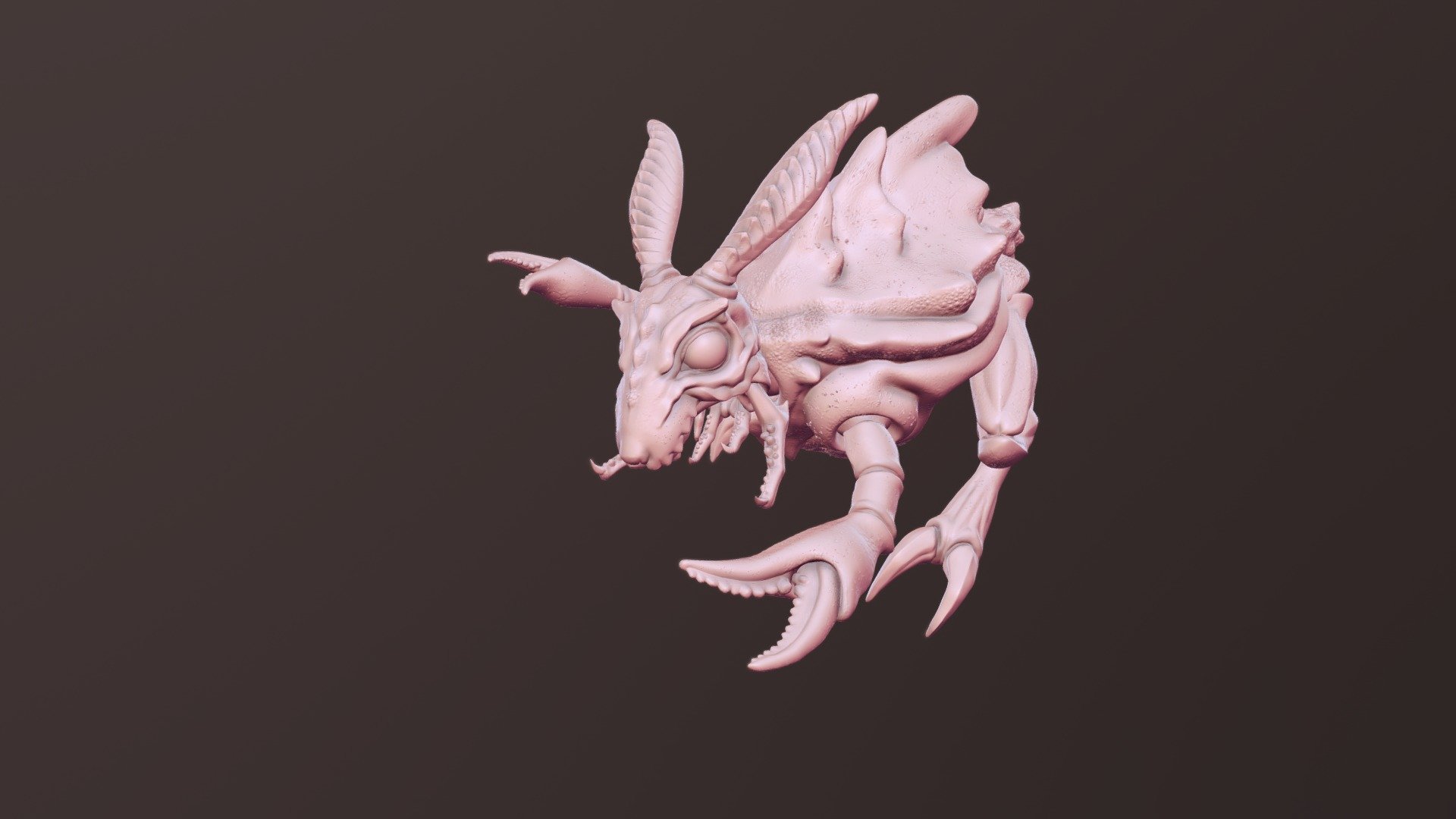 Crabbit - 3D model by strangehighways [1d1f1d3] - Sketchfab