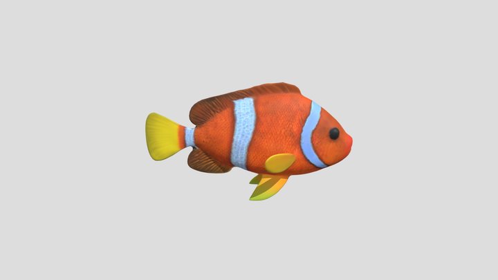 Clownfish 3D models - Sketchfab