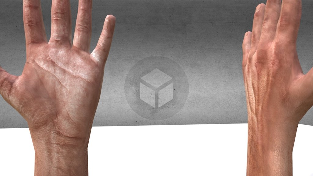 Rigged Hand - 3D model by joritz27 [1d32f6b] - Sketchfab