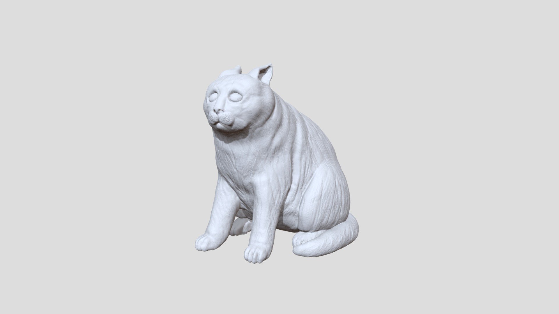 Cat, the - 3D model by JinSu347 [1d33ad1] - Sketchfab