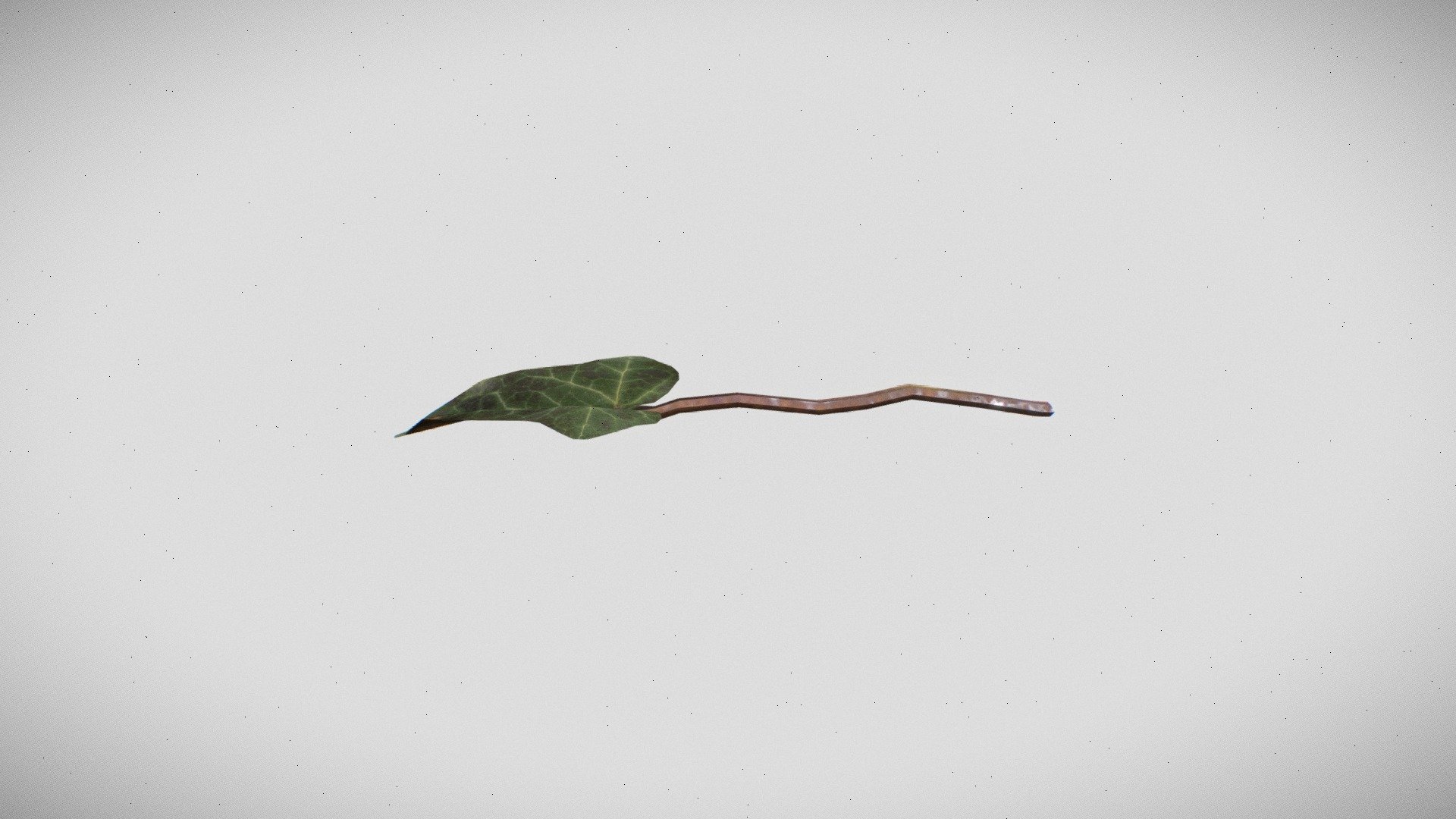 Ivy Leaf - Download Free 3D model by JonathanCGI [1d368a5] - Sketchfab