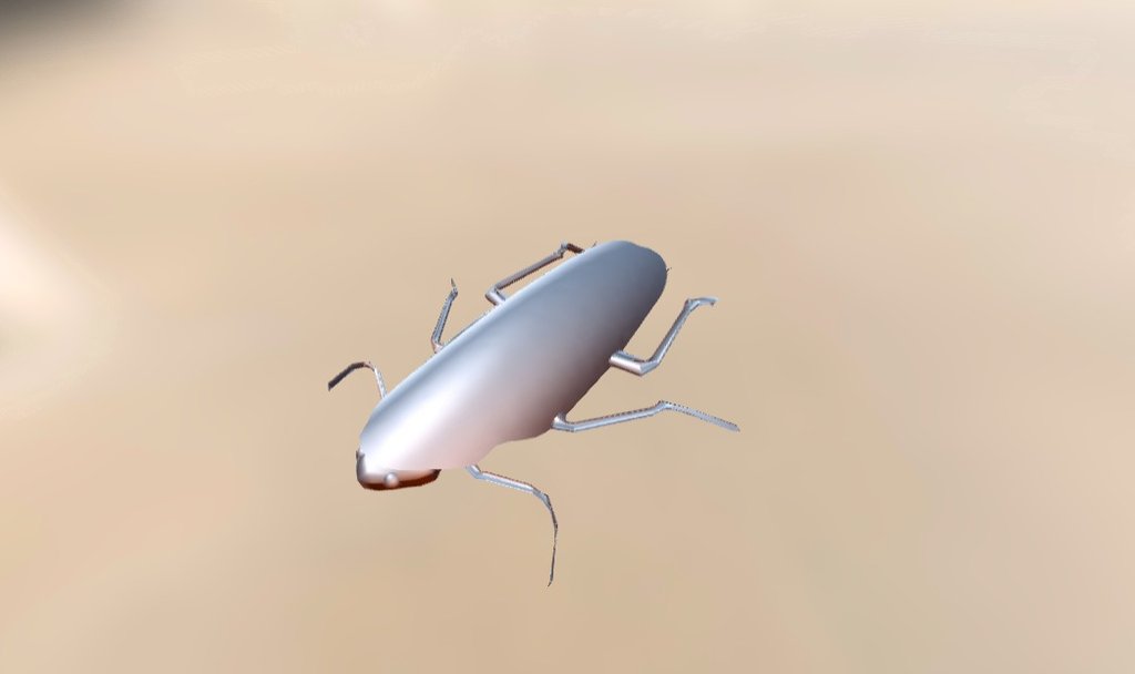 Hamam böceği ( Cockroach ) - 3D model by isa sahinturk (@limitlessisa ...