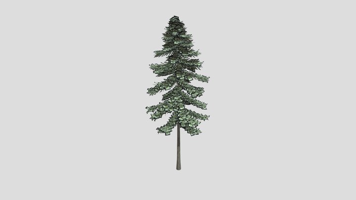 Pine-tree 3D models - Sketchfab