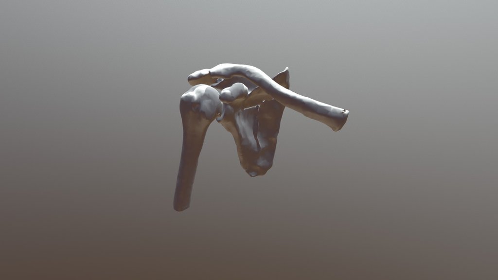 Skilet - A 3D model collection by Y2JHBK - Sketchfab