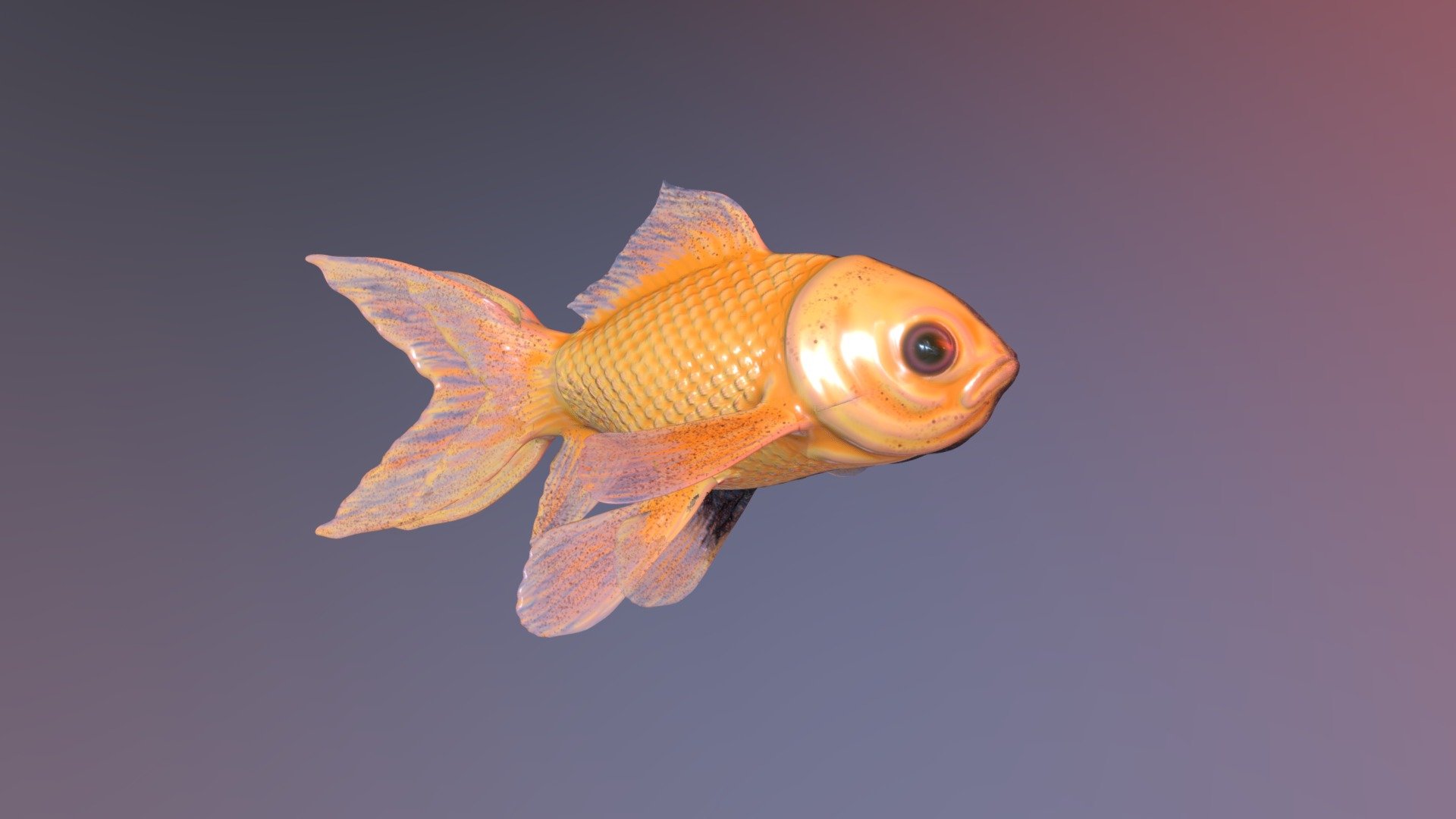 Two-Face Gold Fish #fishchallenge - 3D model by anaroeto [1d47a07 ...