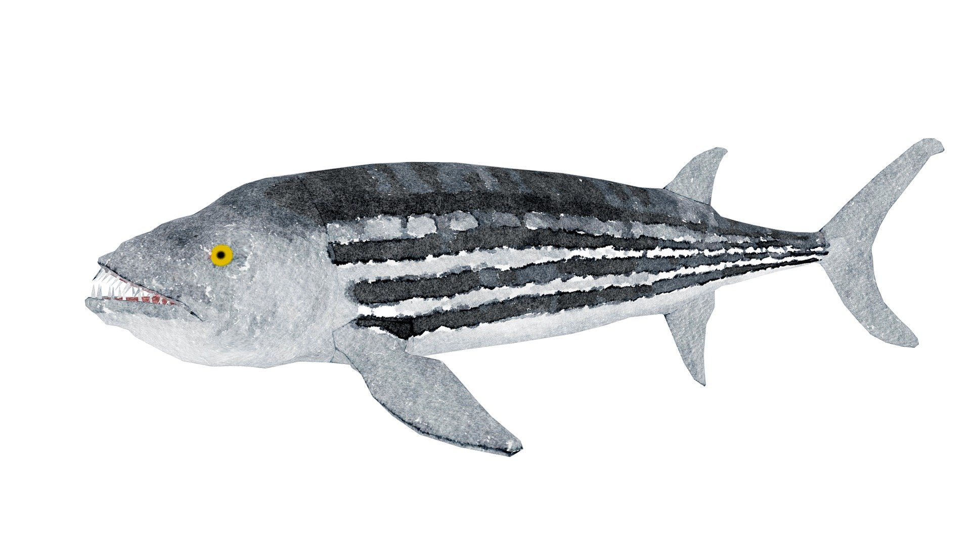 Xiphactinus Illustration - 3D model by josluat91 [1d4828c] - Sketchfab