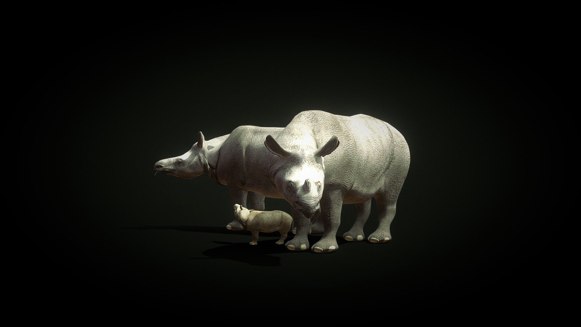Javan Rhinoceros - 3D model by Strigops [1d5d455] - Sketchfab