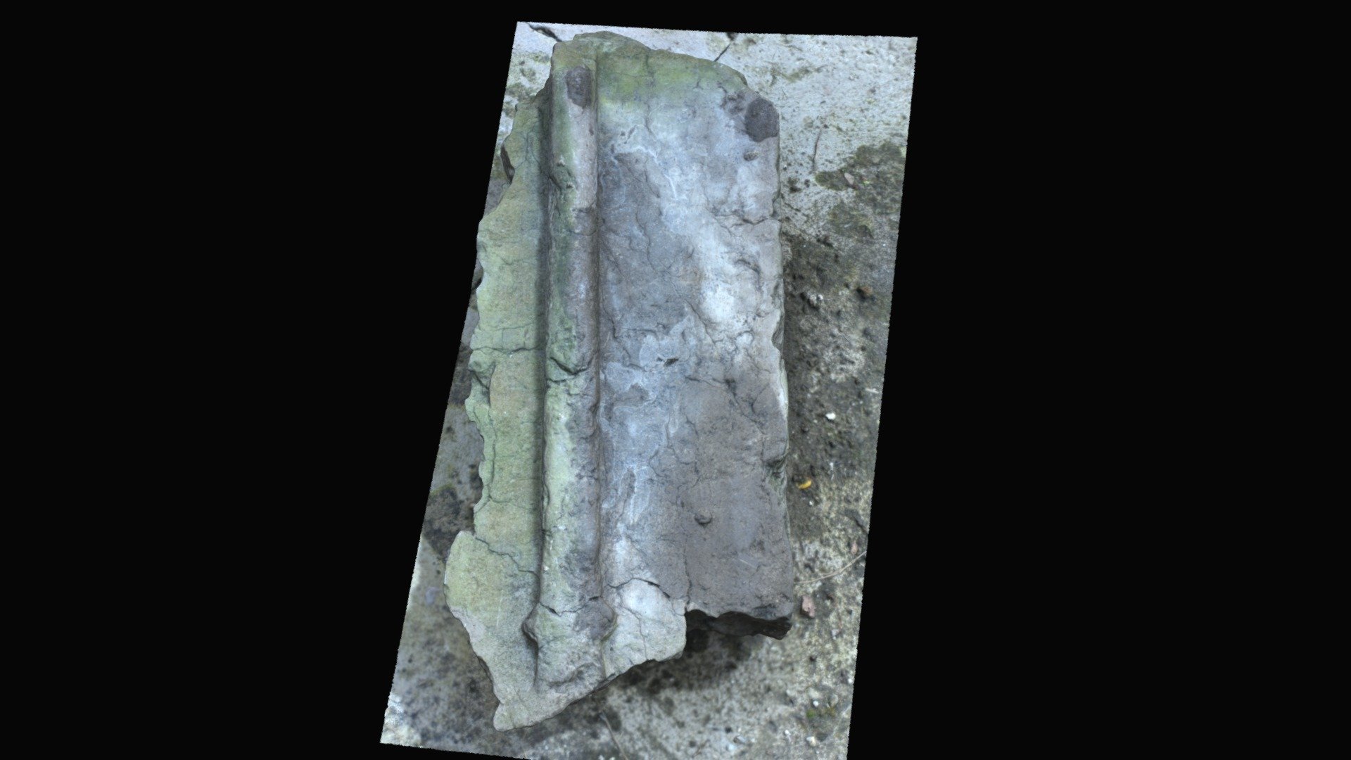 Nenagh Friary Grave-Slab (TN020-037014-) - Download Free 3D model by ...