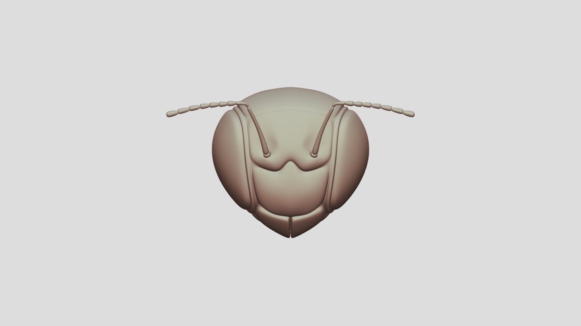 Bee Head - 3D model by deniz.kudayar [1d5fc49] - Sketchfab