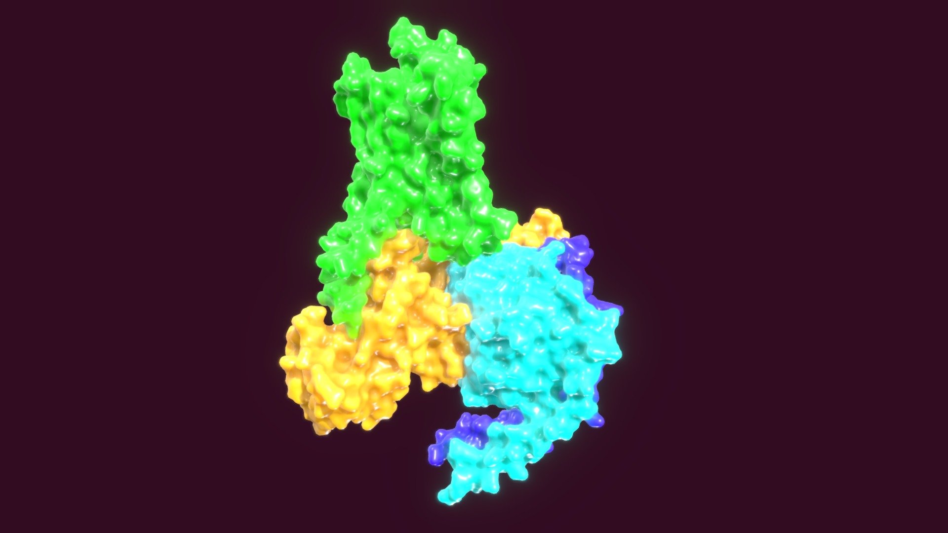 Β2 Adrenergic Receptor bound to Gs protein - Download Free 3D model by ...
