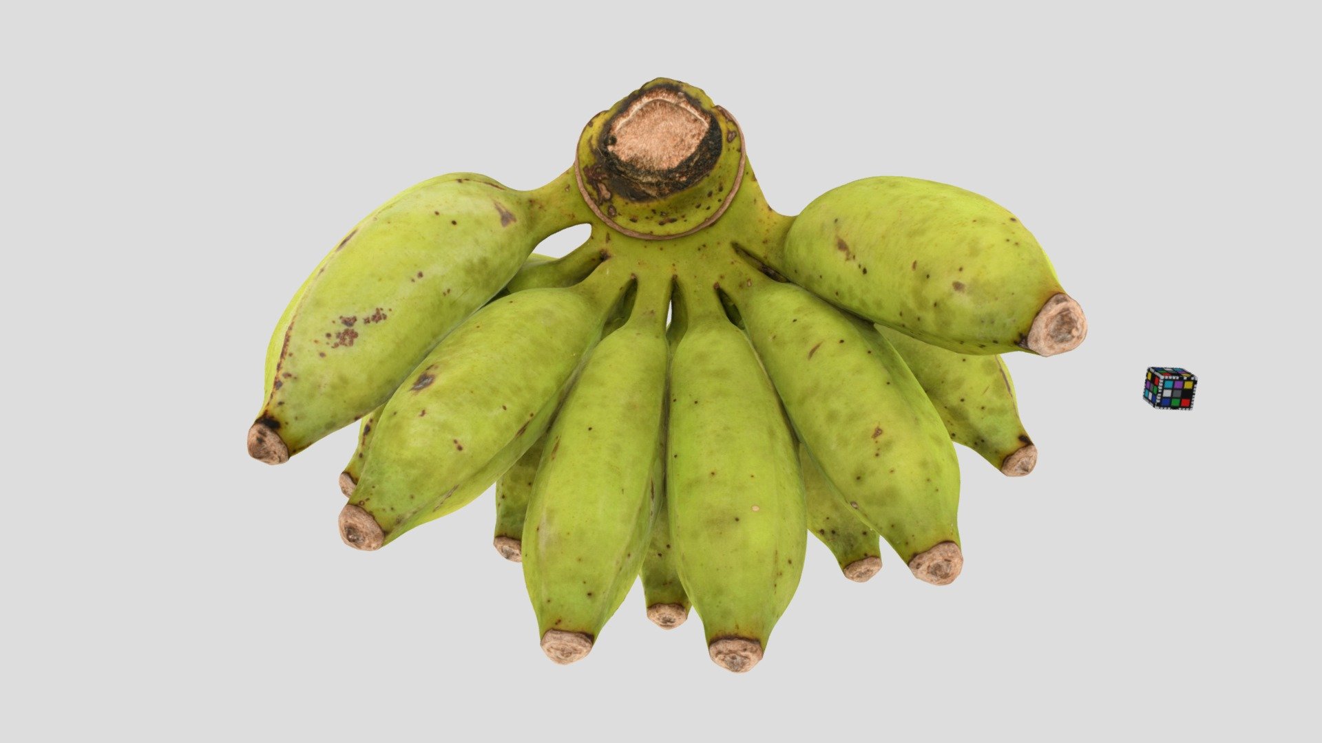 バナナ 🍌 緑 Banana Green, Musa cv. - Download Free 3D model by ffish.asia ...
