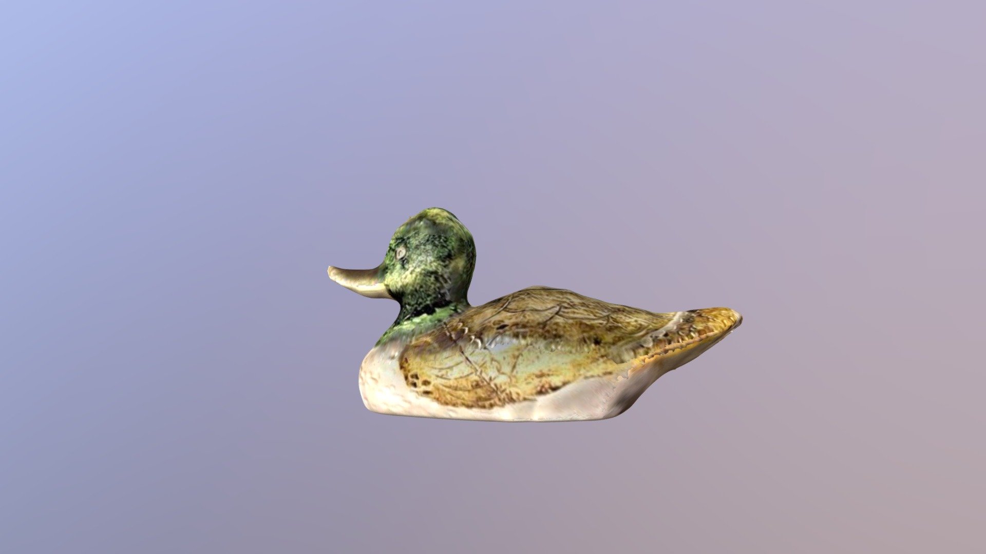 Canard sauvage - 3D model by Albatros08 [1d728df] - Sketchfab