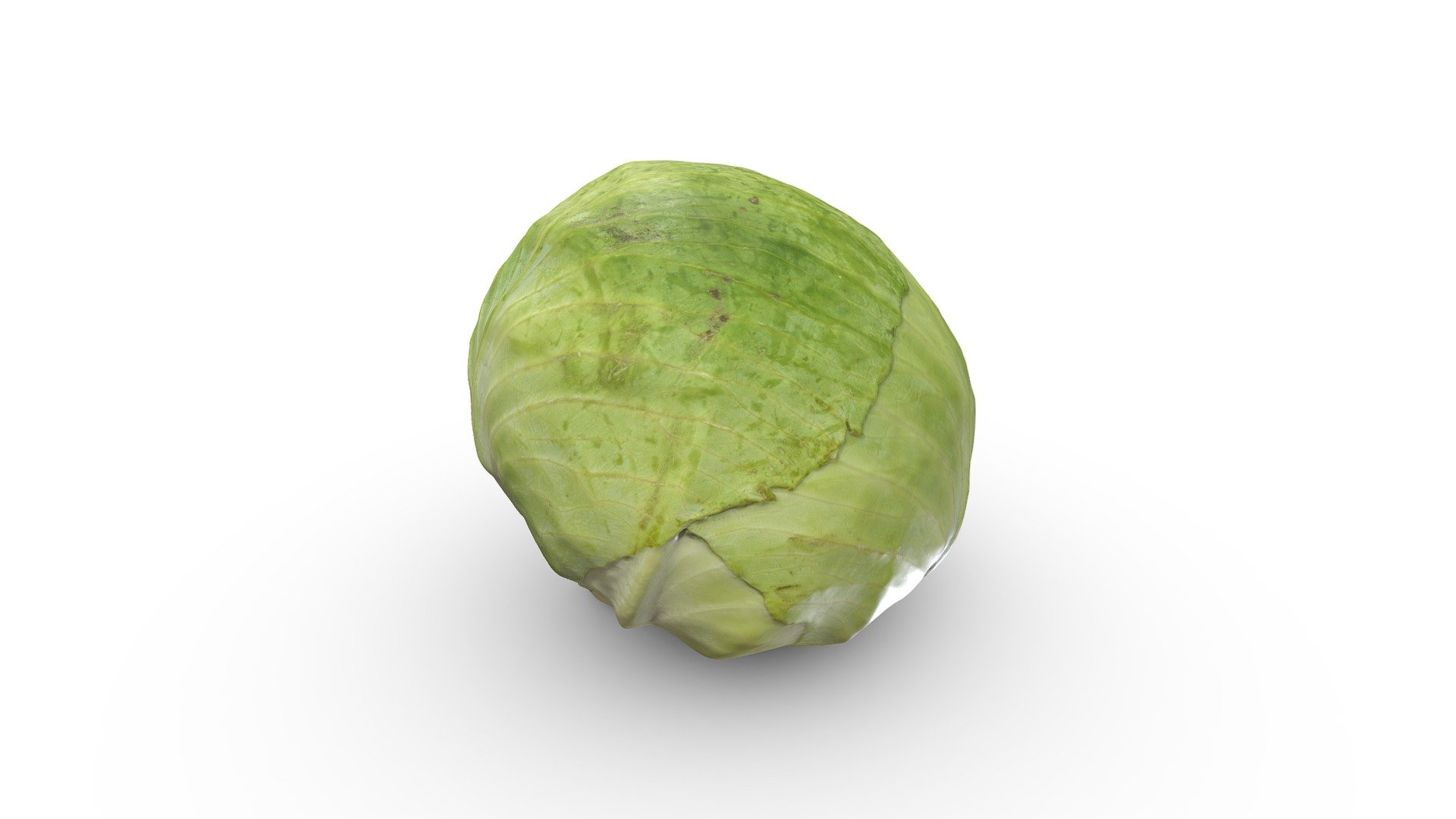 Head of Cabbage - 3D model by RawCatalog.com (@rawcatalog) [1d7a7f1 ...