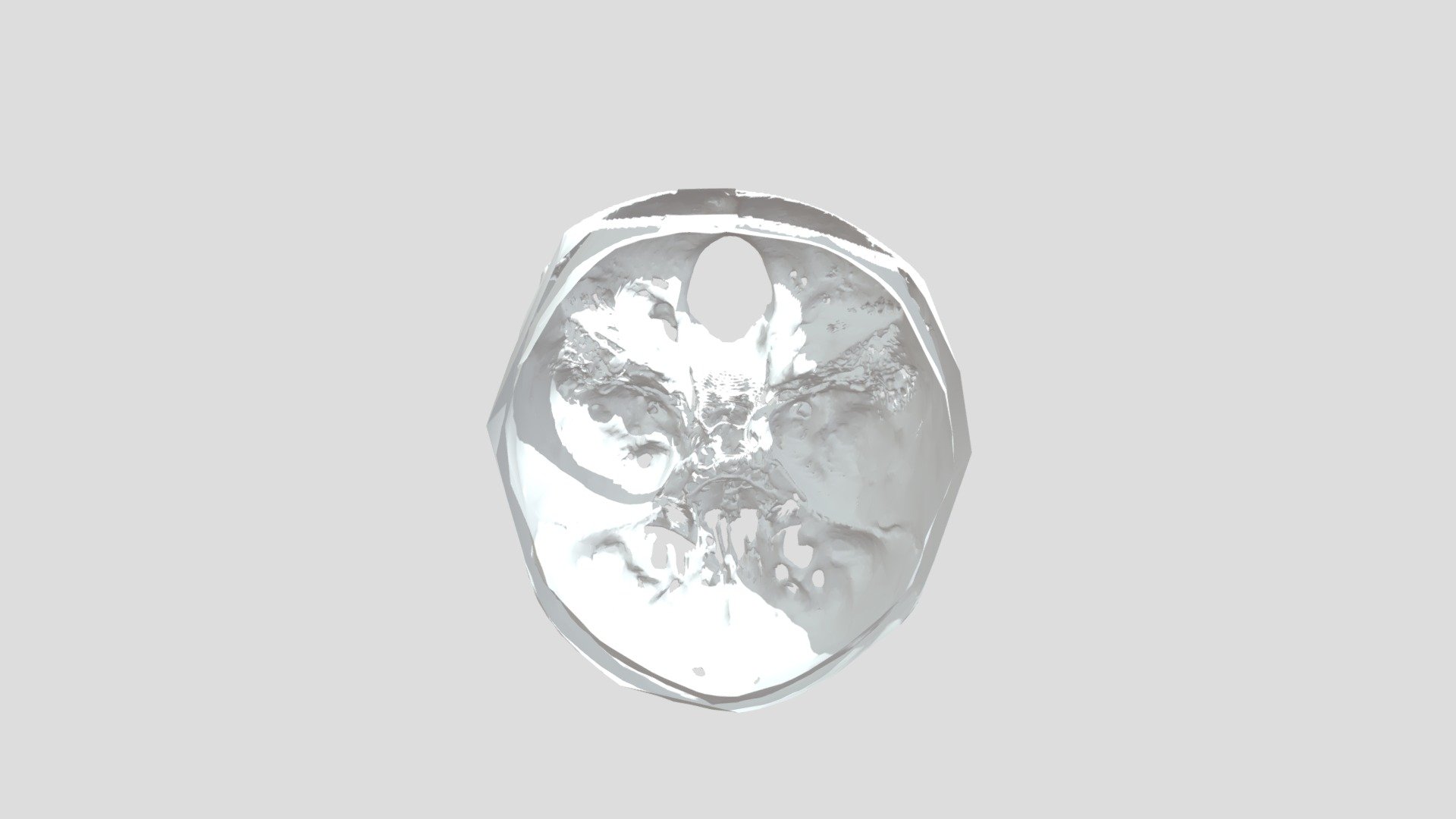 skull complete - 3D model by sonal.garg [1d7ab40] - Sketchfab